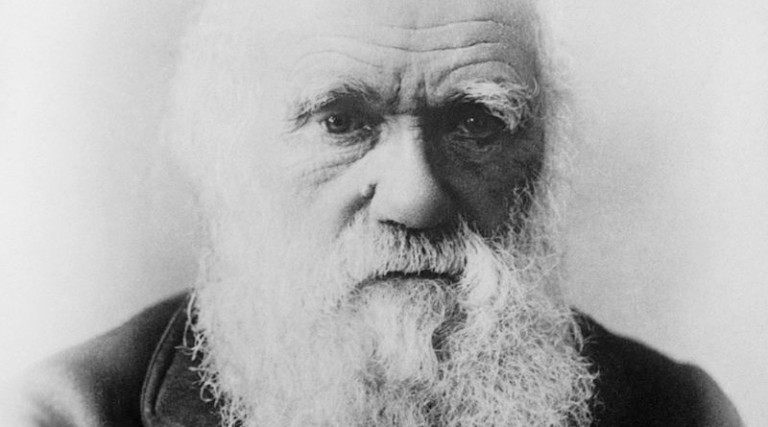 Creation, Evolution & Charles Darwin – The Bible Study